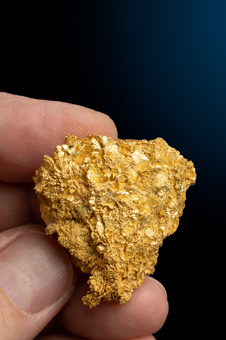 Stunning Natural Crystallized Gold Specimen - Round Mountain, NV - 32.0 ...