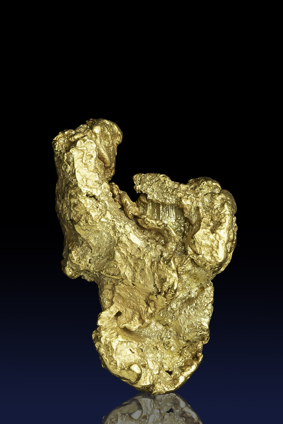 The Shopping Cart : GoldNuggetSales