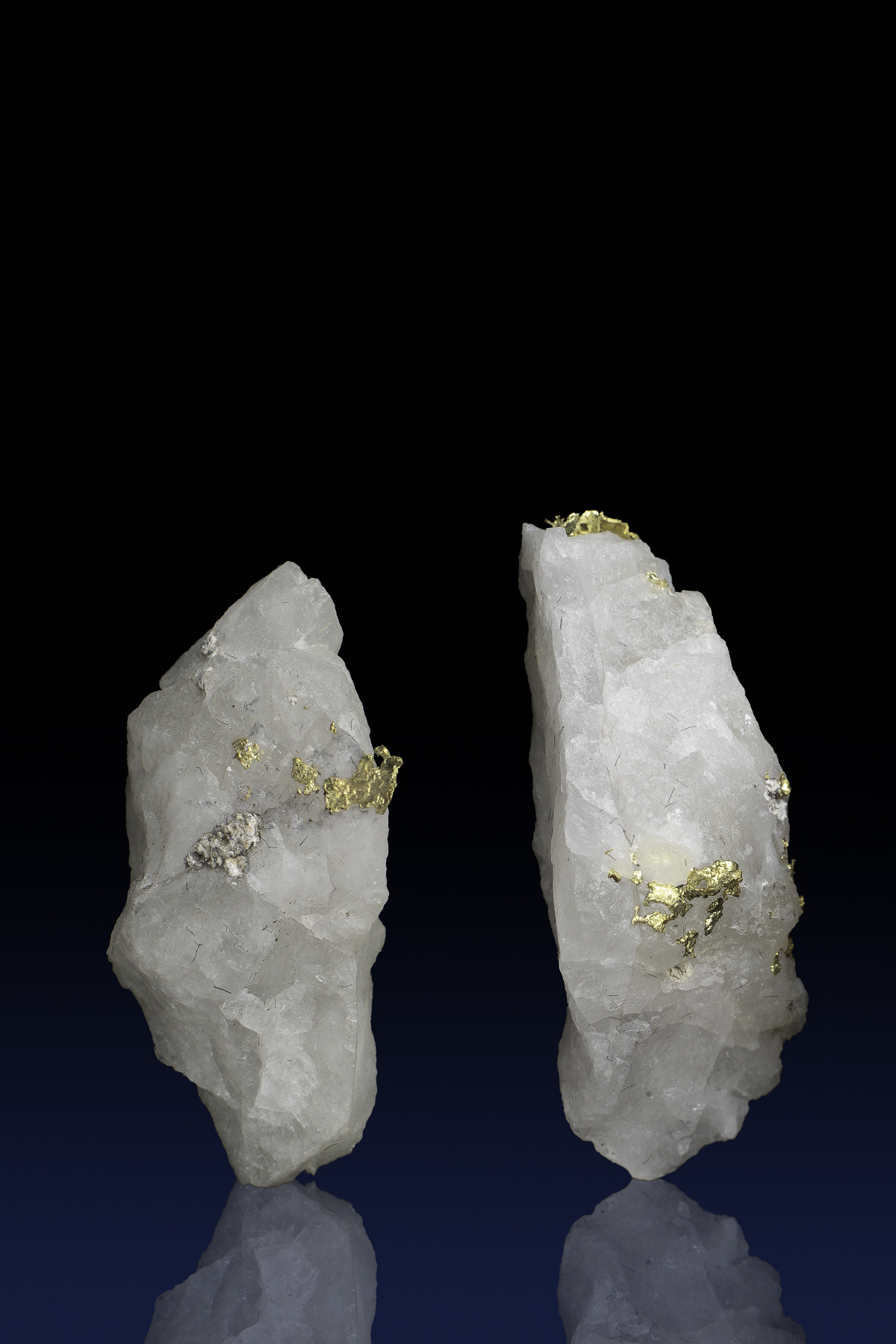 The Shopping Cart : GoldNuggetSales