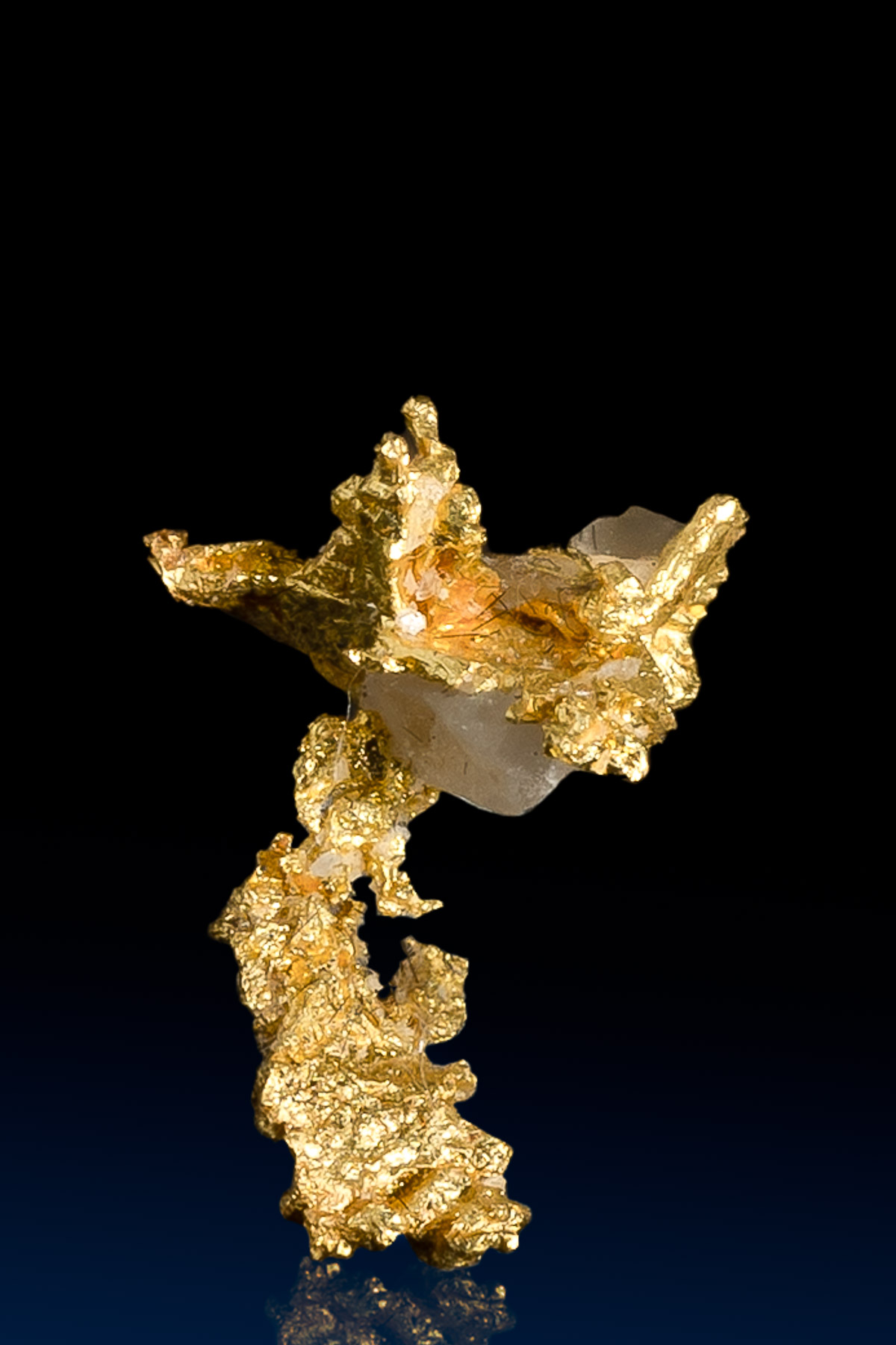 Crystallized High Grade Gold : GoldNuggetSales